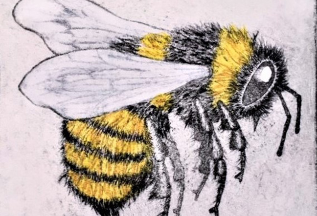 Pollack - Pollack Design Studio