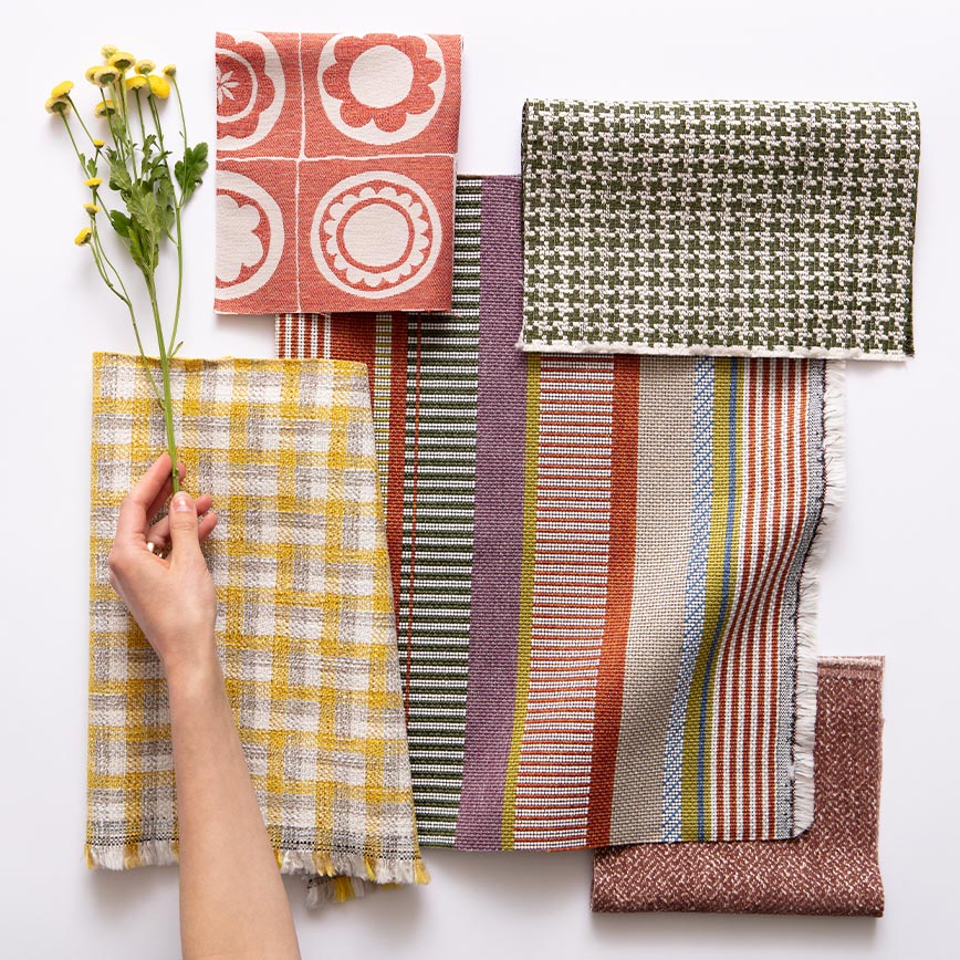 Pollack - Collections