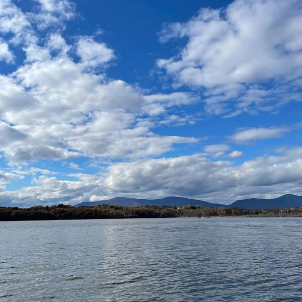 Pollack - Spring Street Textiles